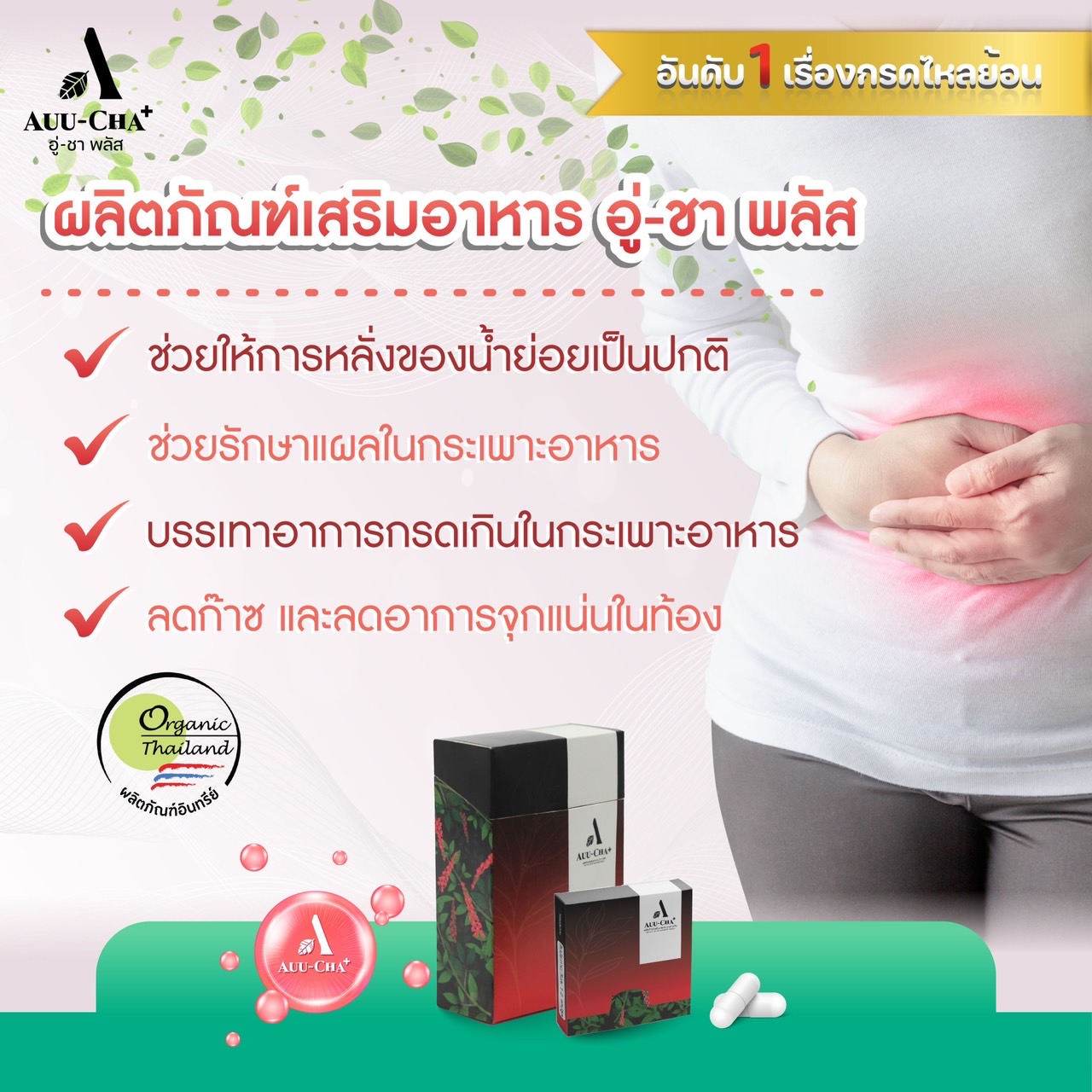 Auu-Cha+ อู่ชาพลัส สมุนไพรแก้กรดไหลย้อน สมุนไพรกรดไหลย้อน สมุนไพรบรรเทา ...