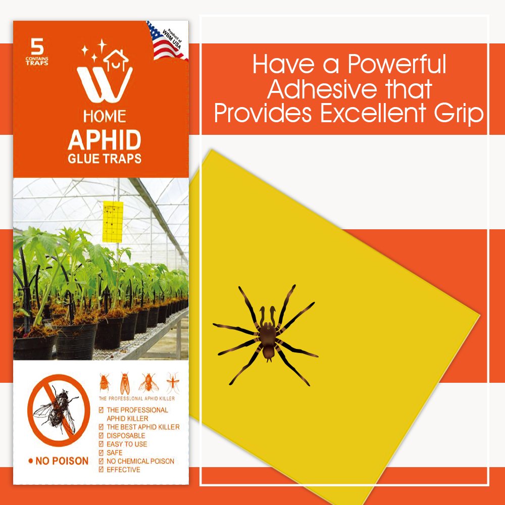 (Pack of 10) W Home Aphid Glue Trap | Insect Killer Traps | Daraz.pk