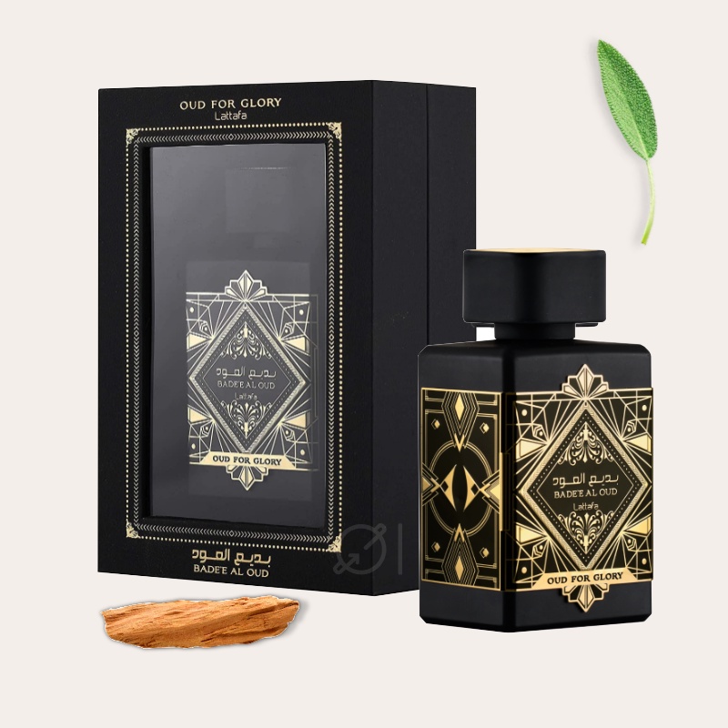 Perfume Arab From Dubai for Men and Woman Original Minyak Wangi Arabian ...