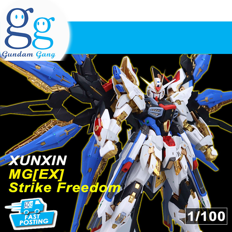 (Ready Stock) Xun Xin Model Golden Legend MG-EX Strike Freedom Model ...