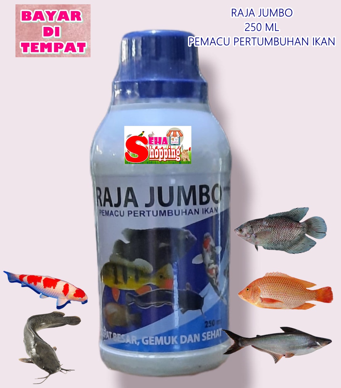 Obat Ikan Vitamin Ikan Suplemen Ikan Lele Bawal Nila Patin Ikan Mas ...