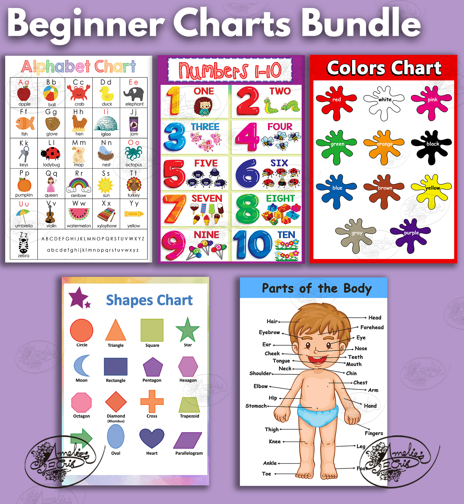 Bundle of 5 (Boy) Beginner Minimalist Laminated Educational Charts for kids, kinder, preschool ...