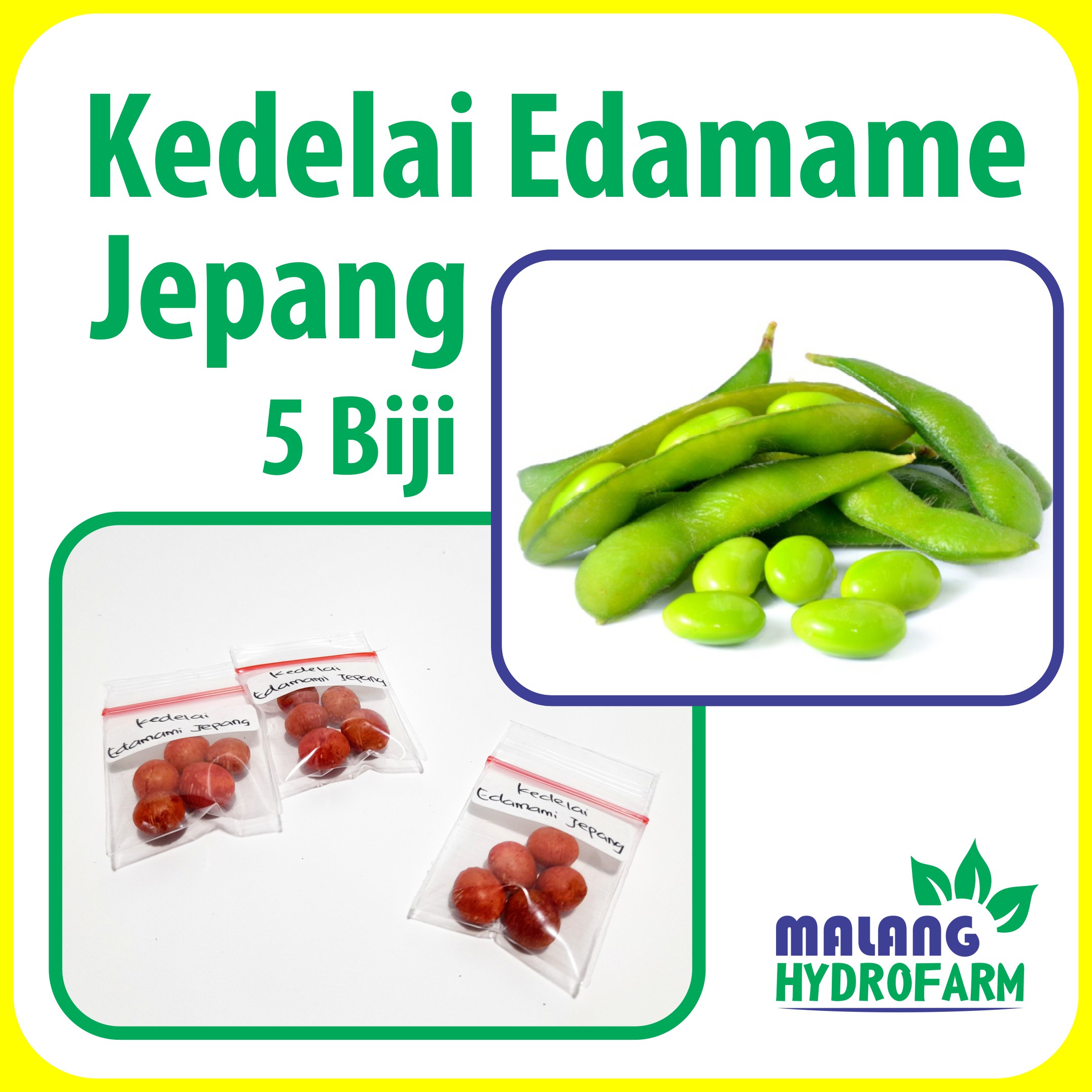 Benih Kedelai Edamame Jepang 5 biji Unggulan berkualitas bibit ...