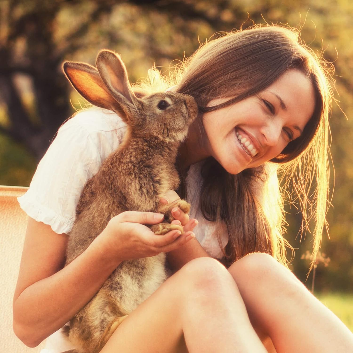 Versele-laga Complete All-in-One Nutrition Junior Rabbit Food, 500 ...