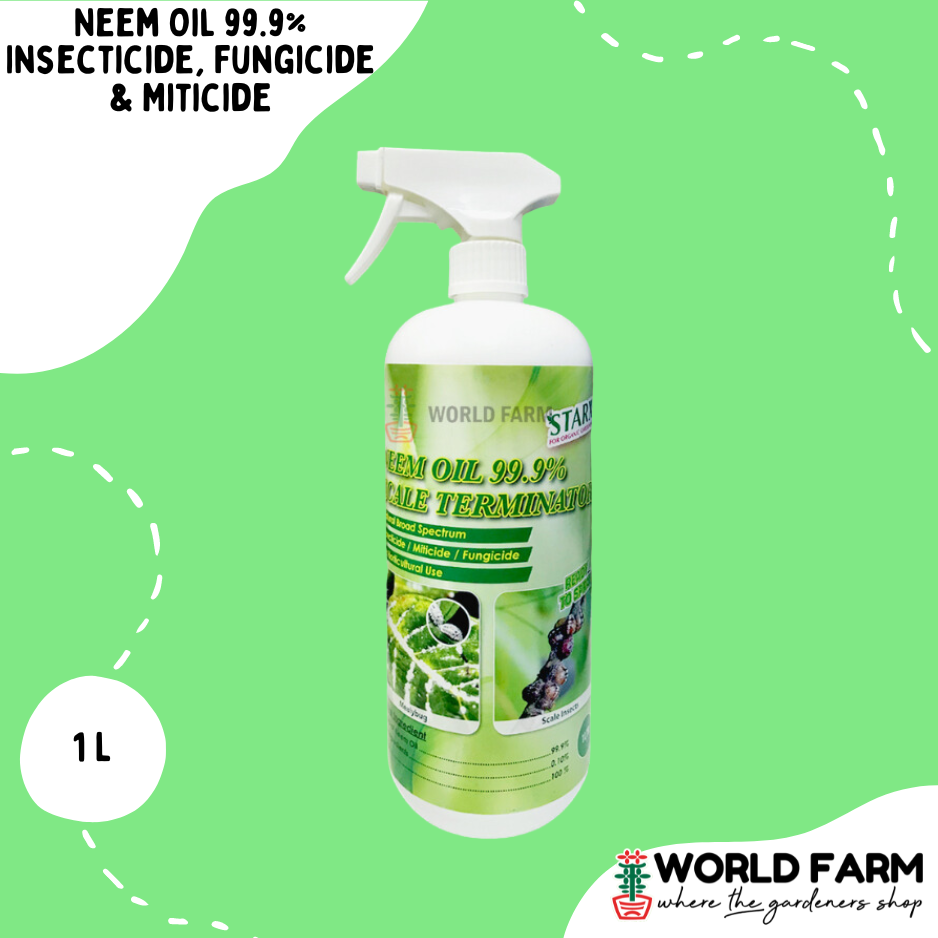 Neem Oil 99.9% Insecticide, Fungicide & Miticide Spray (Large), 1L ...