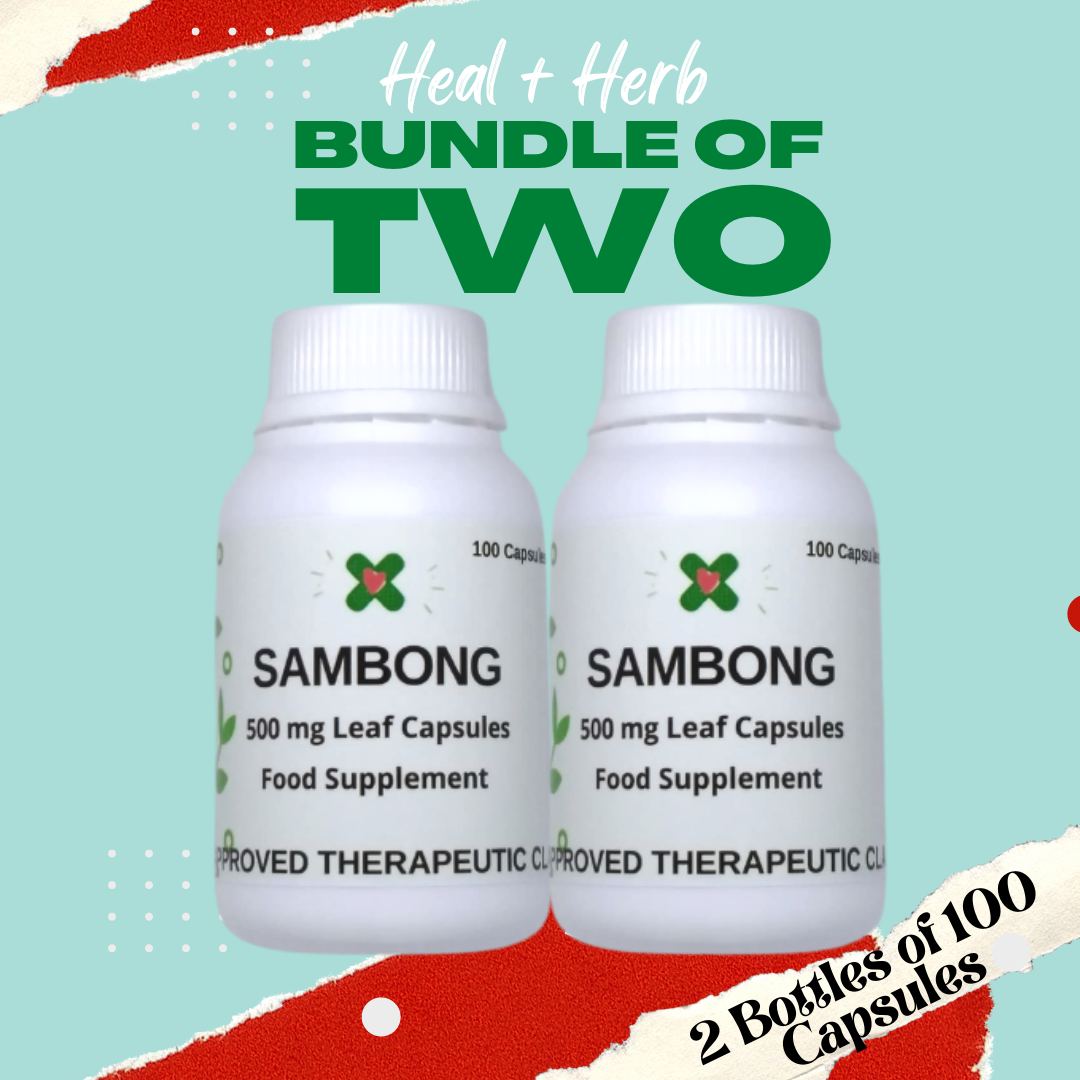 Pure Sambong capsule 500 mg, Anti UTI and Kidney Stones Pure and ...