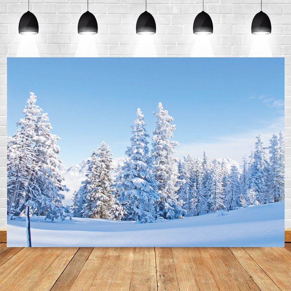 Winter Nature Scenery Photography Backdrop Snow Scene Forest ...