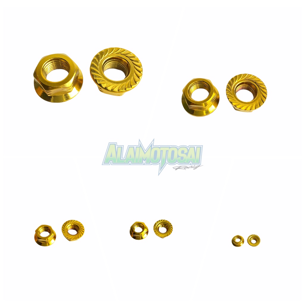 🇹🇭💥SKRU NUT BY HENG💥🇹🇭 NUT COLOUR TITANIUM / GOLD CUSTOM MADE nut heng ...