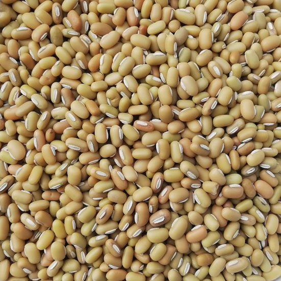 Tapilan Beans Rice Beans Bamboo Beans 1 Kilogram | Lazada PH