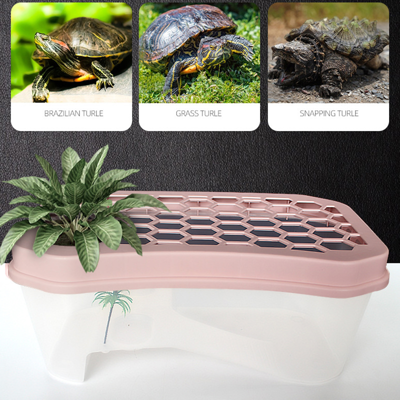 Turtle Tortoise HabitatReptile Vivarium Box with Basking Ramp Aquarium ...