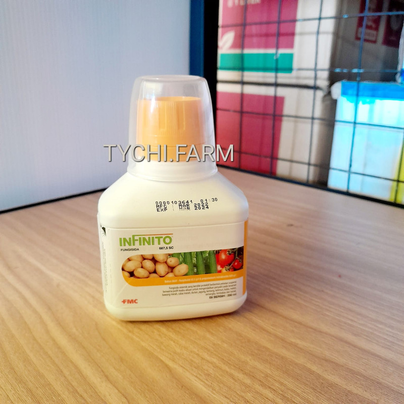 Fungisida INFINITO 687,5 SC Kemasan 250ml mengendalikan penyakit pada ...