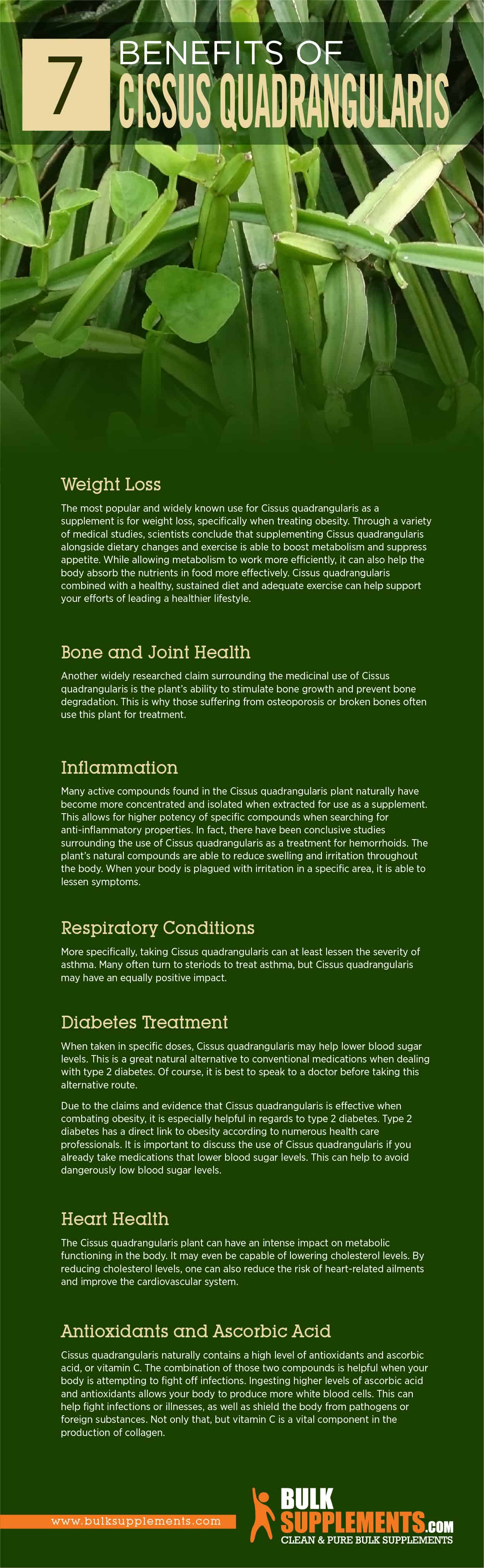 Cissus Quadrangularis Powder 200g | Daraz.pk