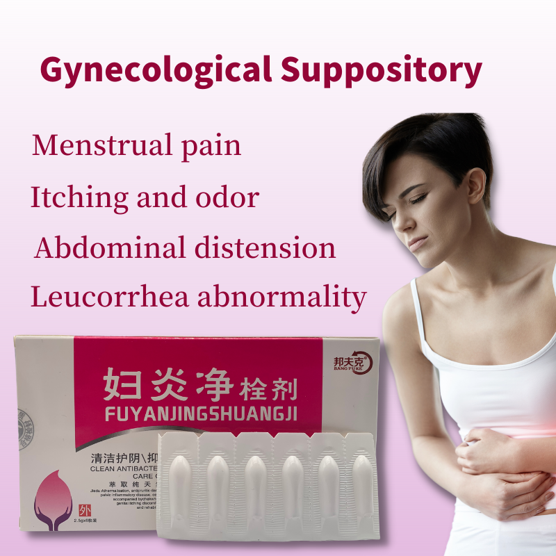 6PCS Chitosan Female Private Care Suppository Antiphlogistic ...
