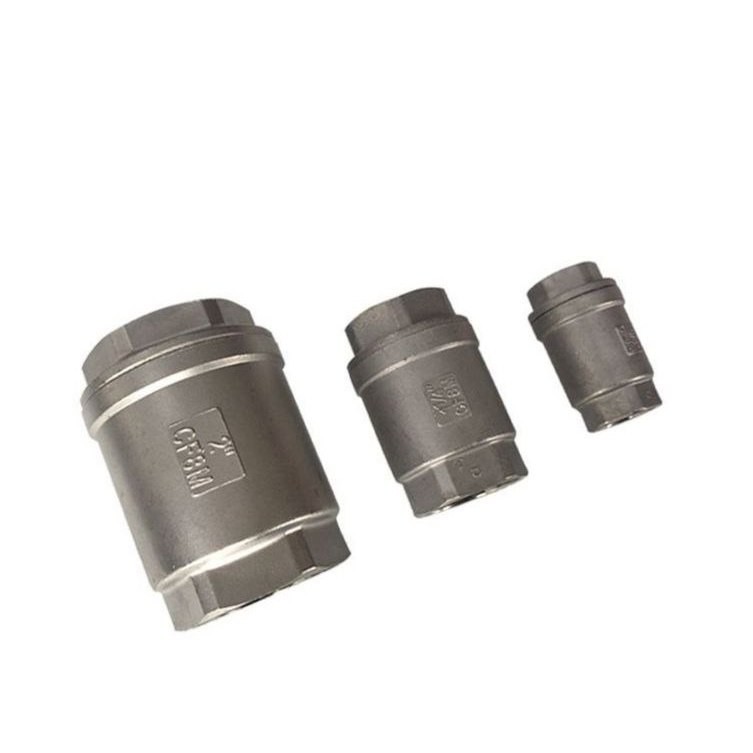 SMALL Stainless Steel Vertical Check Valve H12 One-Way Check Valve ...