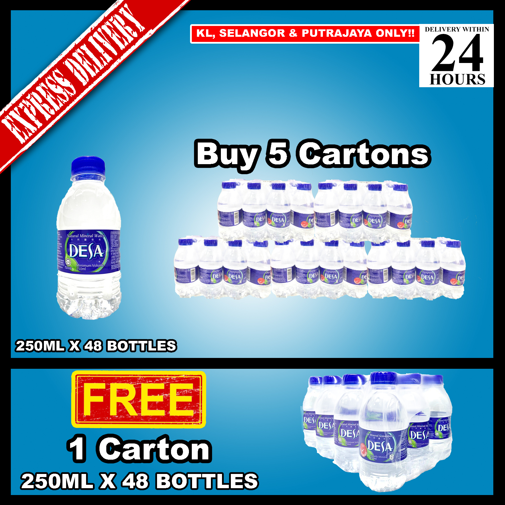 BUNDLE OF 5 CARTONS : DESA MINERAL WATER 250ML x 12 BOTTLES | Lazada