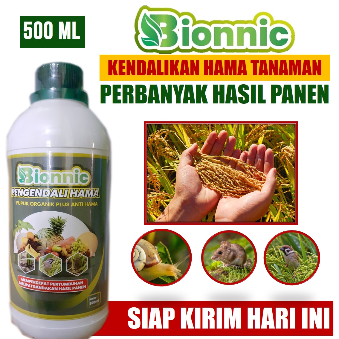 500 ml BIONNIC Pupuk Pestisida Ampuh Atasi Hama Padi Sawah, Obat Racun ...