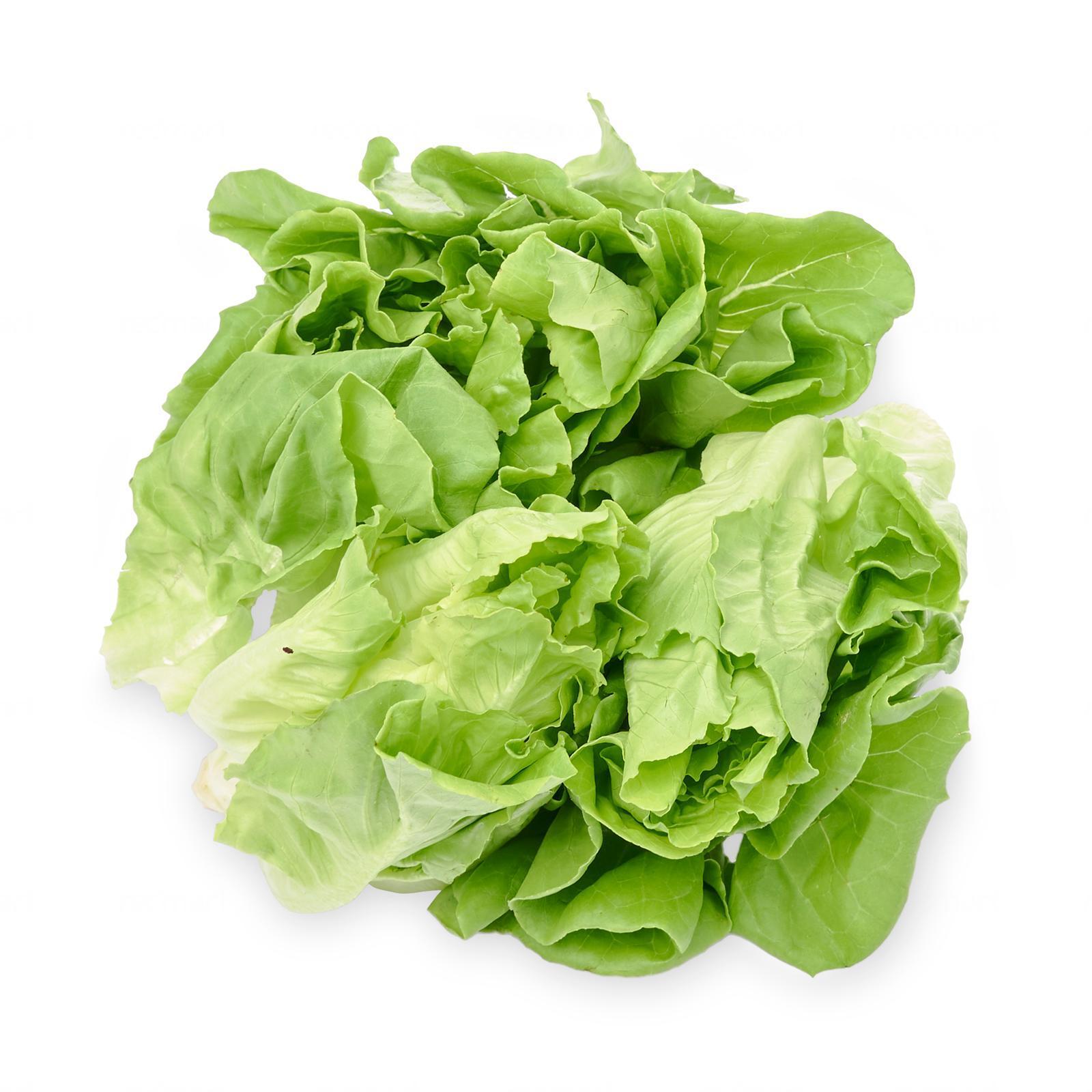 Uncle Jack's Butterhead Lettuce | Lazada Singapore