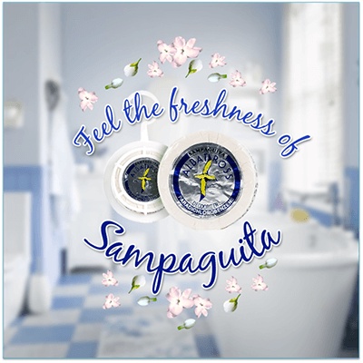 [LSC] Albatross Bathroom Deodorizer Blocks 50 gms (12 pcs) | Lazada PH