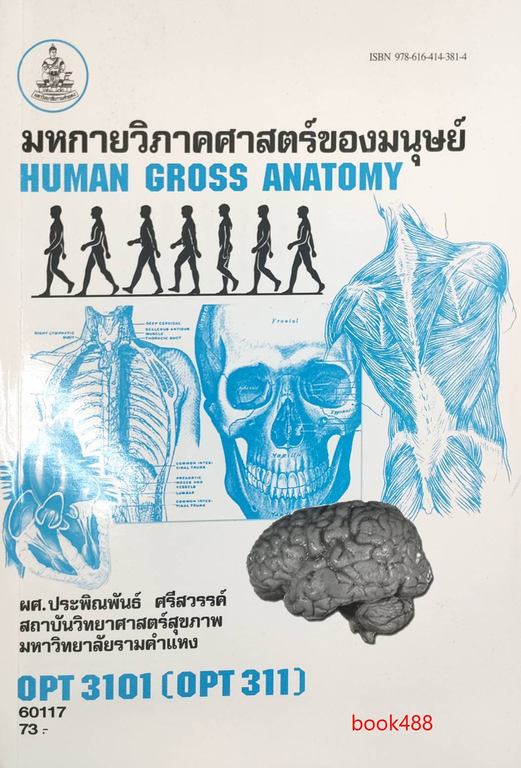 ตำราเรียนราม OPT3101 (OPT311) 60117 มหกายวิภาคศาสตร์ของมนุษย์ | Lazada ...