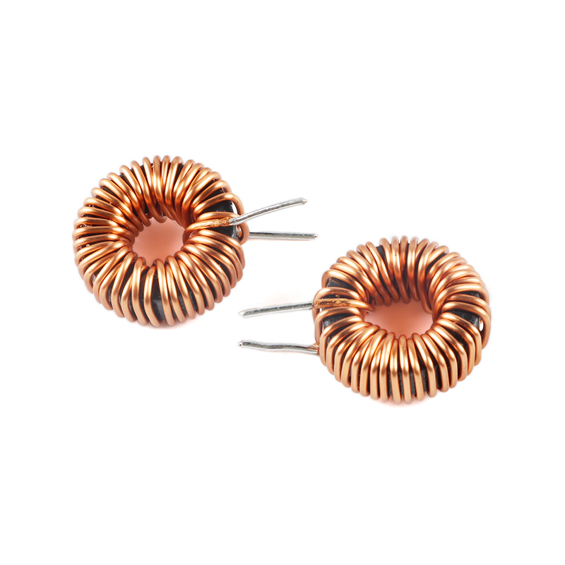 2pcs Toroid Core Inductors 80125 Winding Magnetic Inductance22uh 33uh ...