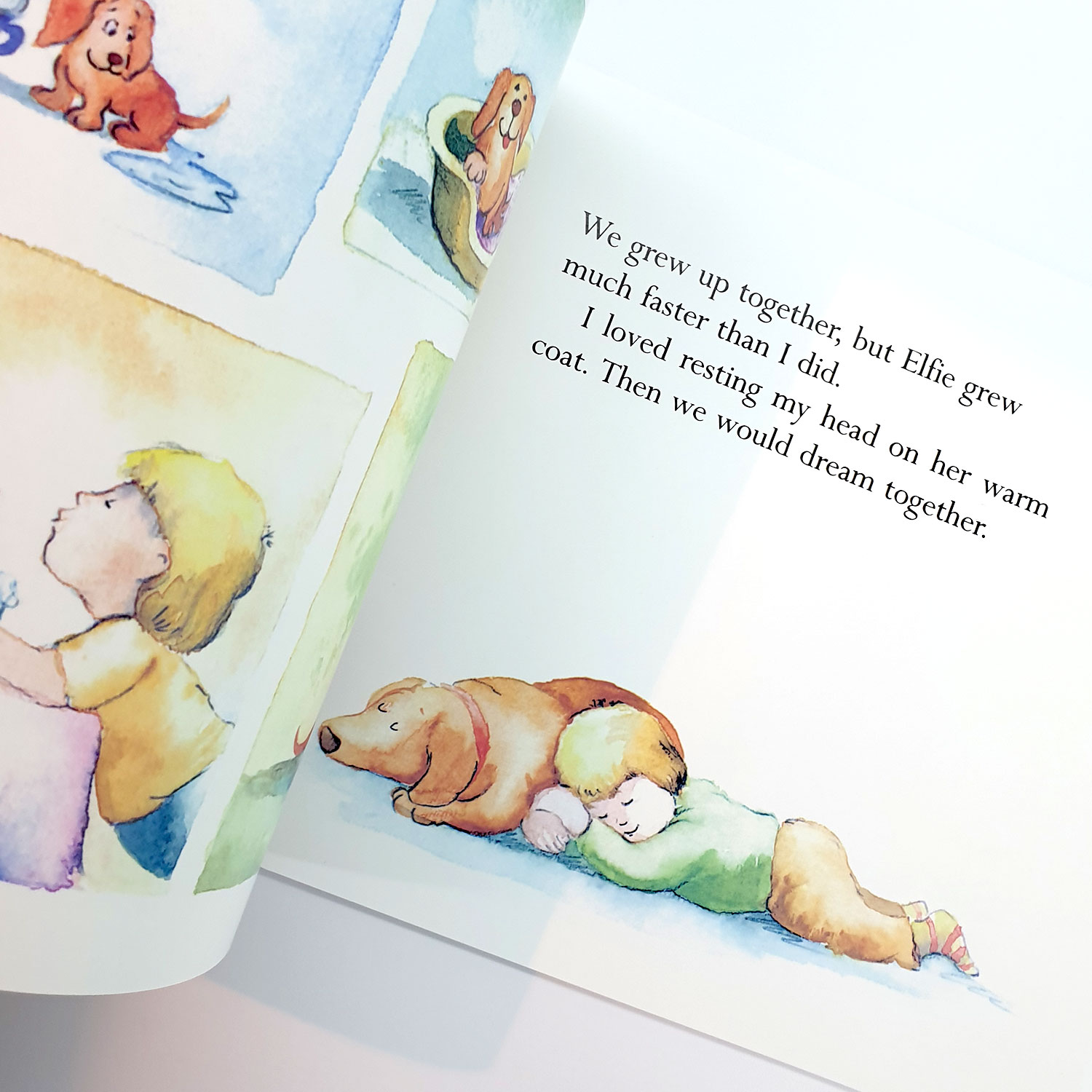 I Will Always Love You By Hans Wilhelm