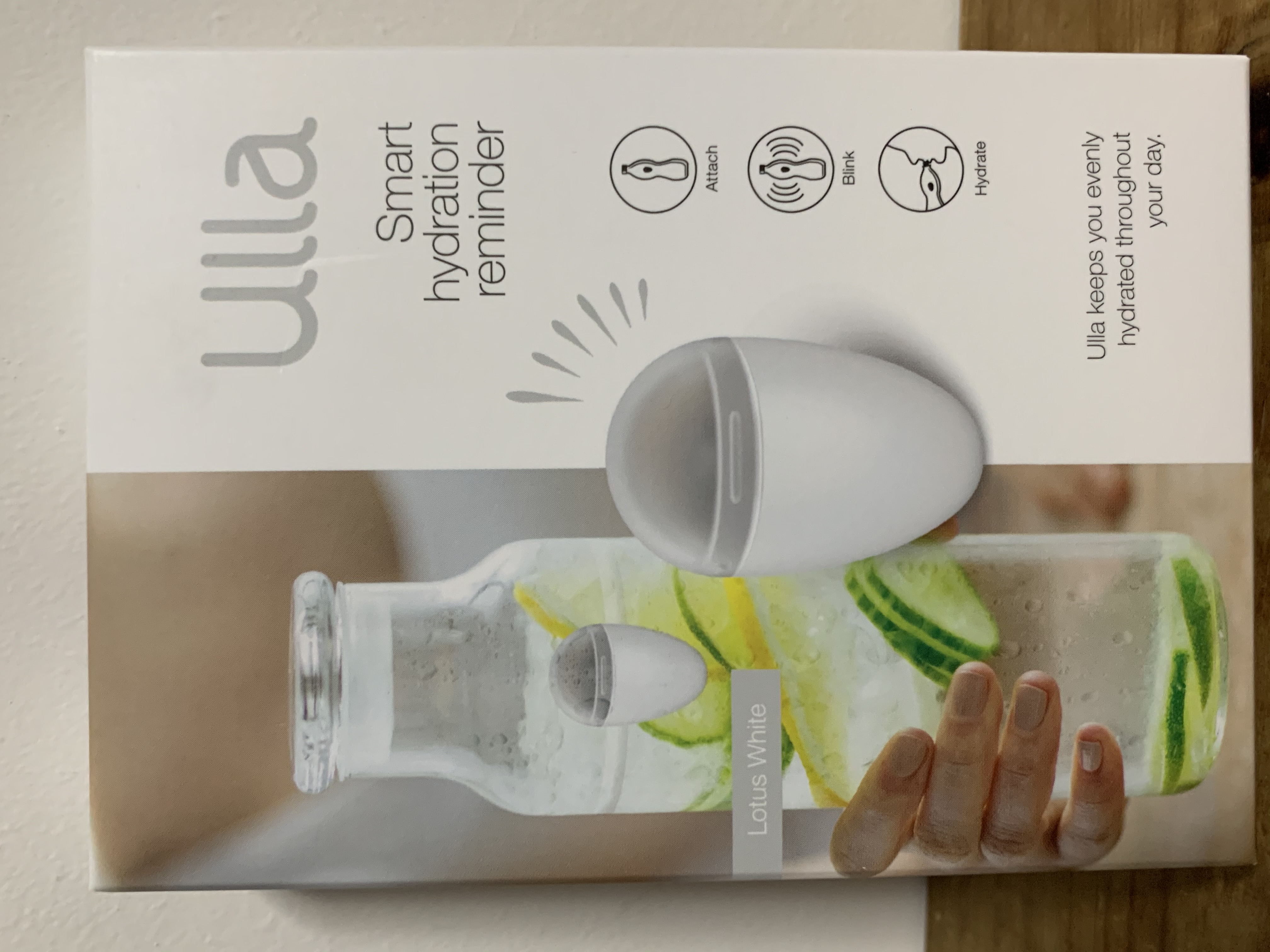 Ulla The Smart Hydration Reminder Coral Green | atelier-yuwa.ciao.jp